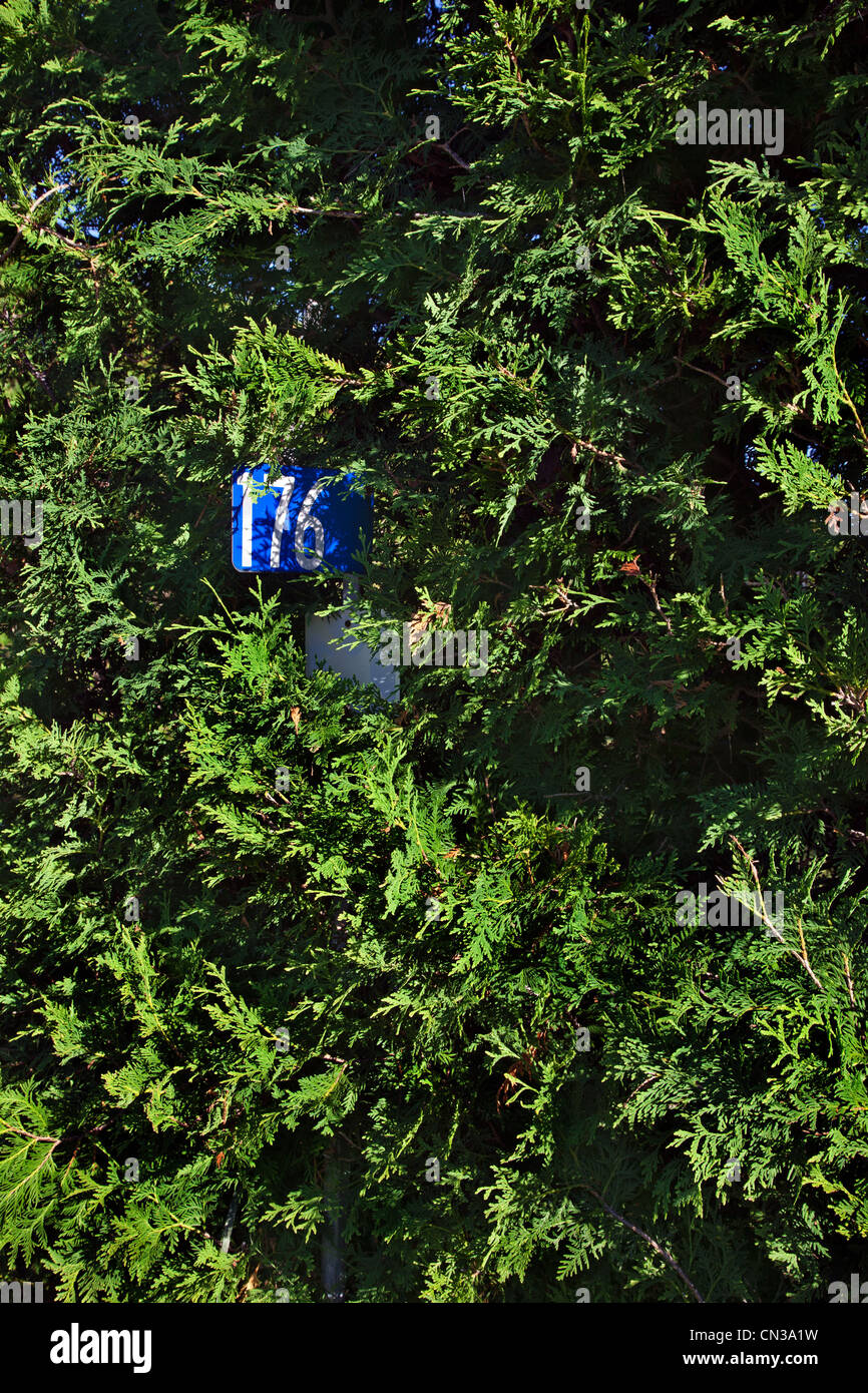 House number in a hedge Stock Photo - Alamy
