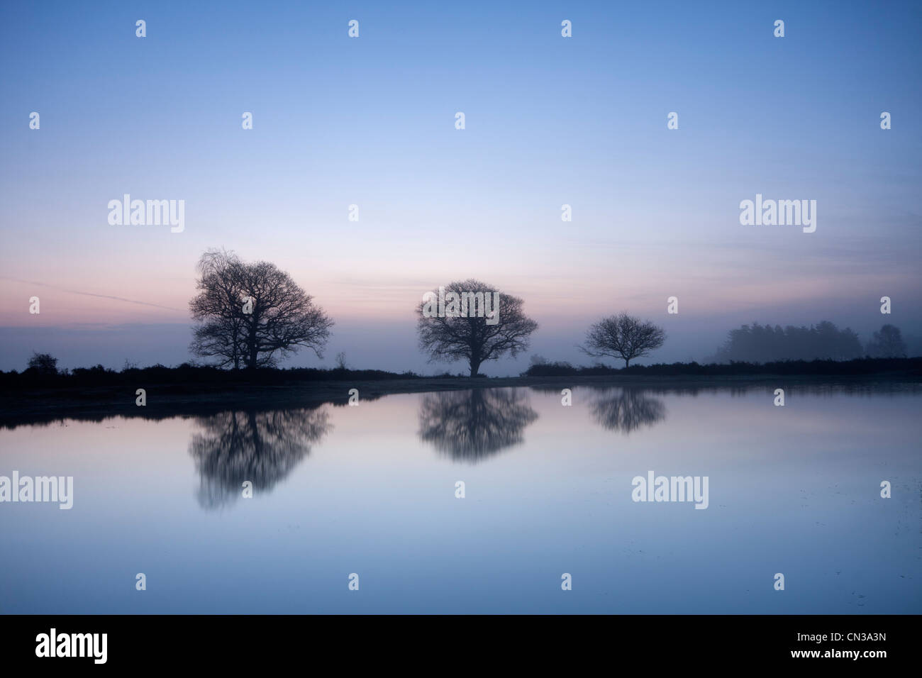 Pre-dawn at a New Forest Pond Stock Photo - Alamy