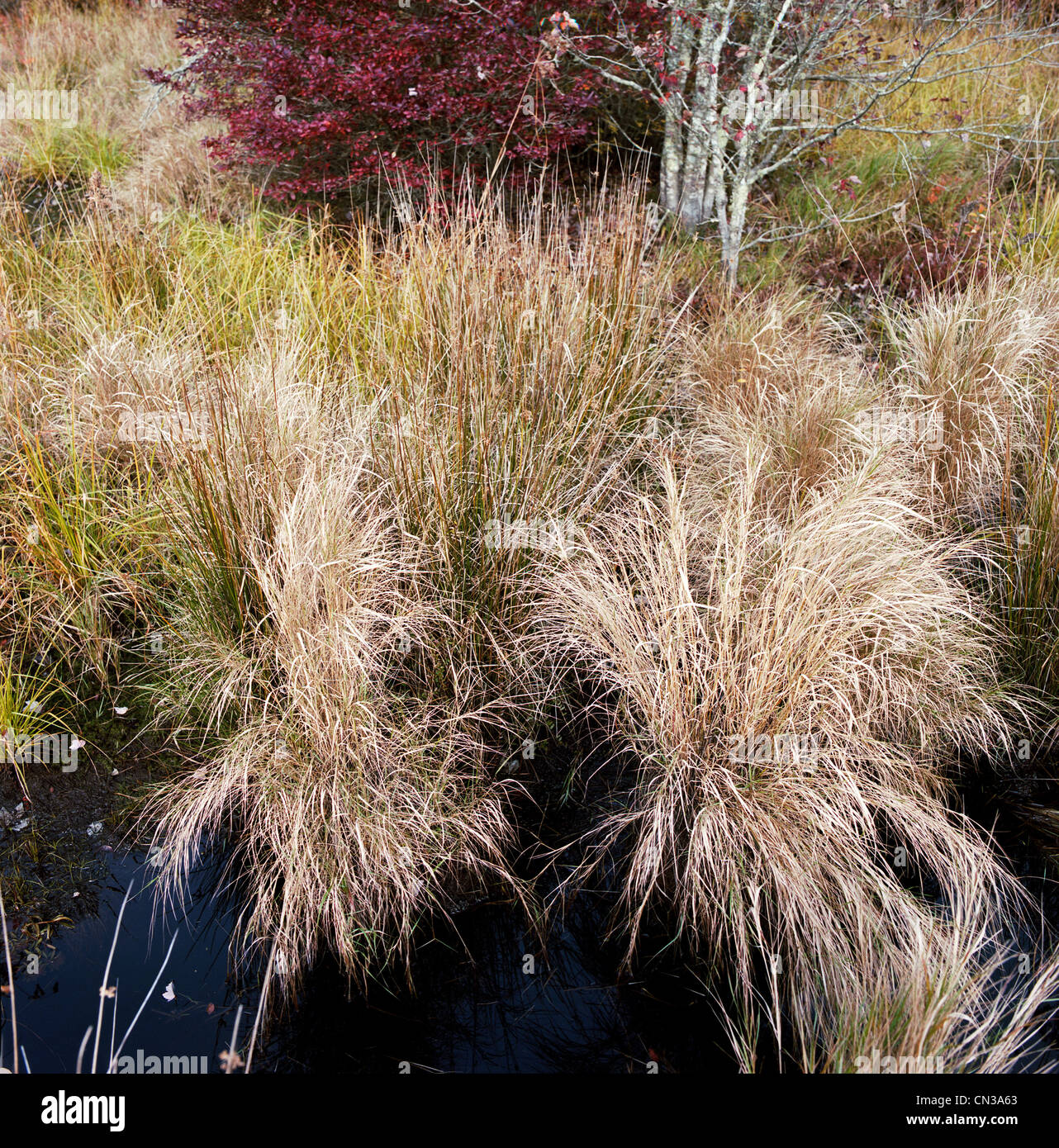 Visual variety hi-res stock photography and images - Alamy