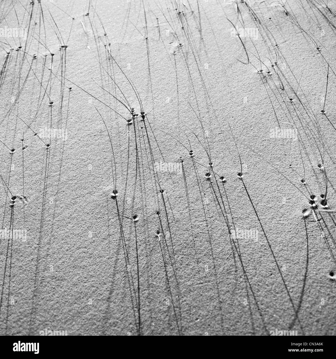 Hole in the sand Black and White Stock Photos & Images - Alamy