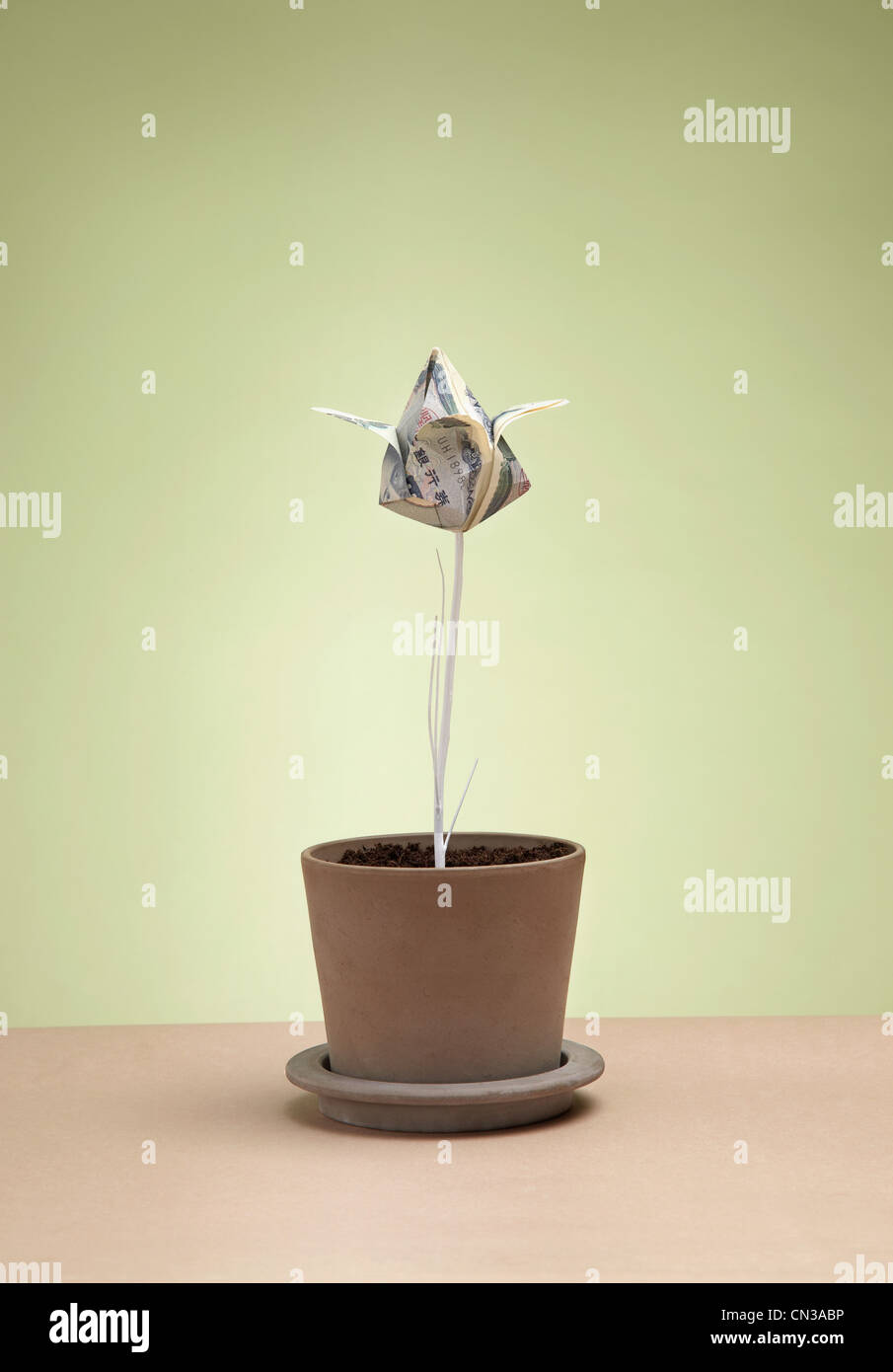 Origami yen banknote in plant pot Stock Photo - Alamy