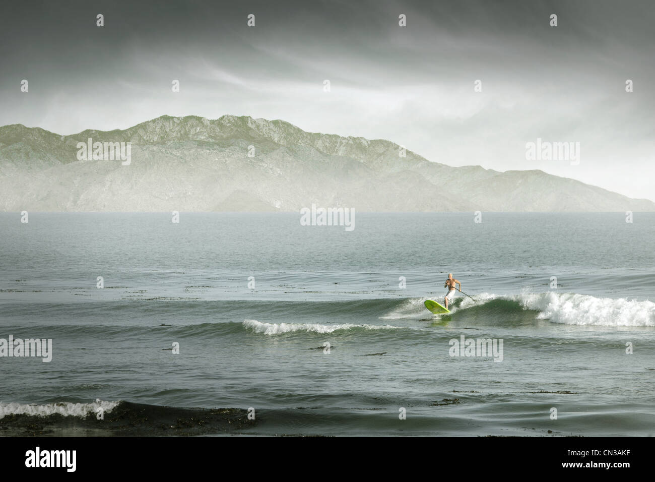 Man surfing, Santa Cruz, California, USA Stock Photo - Alamy