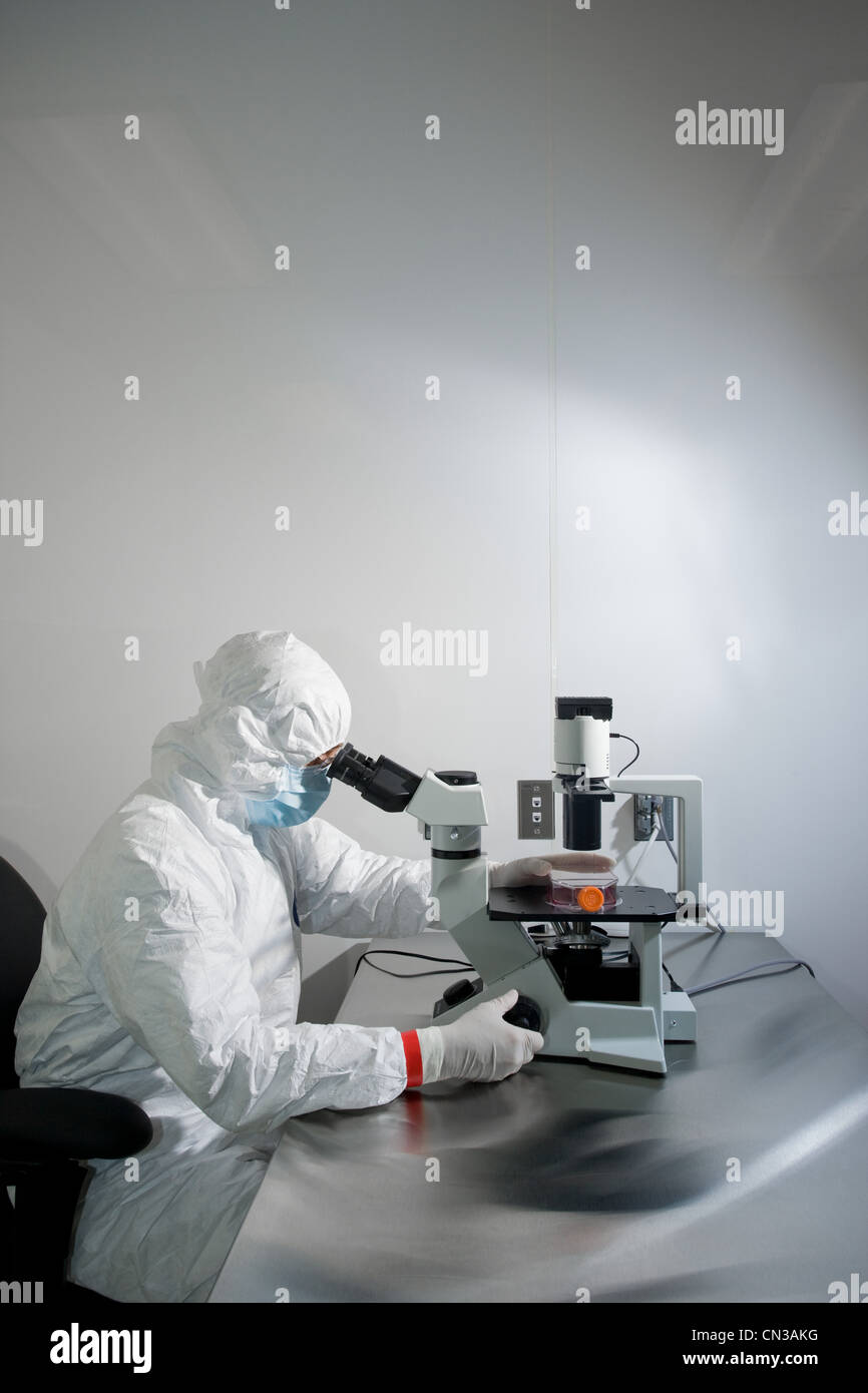 Scientist using microscope in laboratory Stock Photo - Alamy