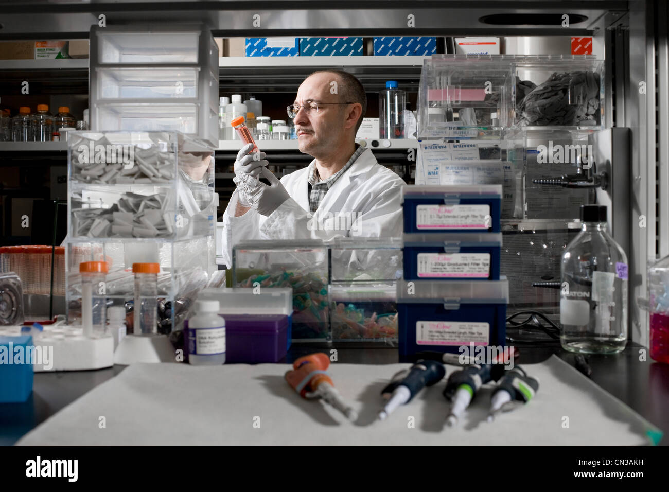 Scientist experimenting dna hi-res stock photography and images - Alamy