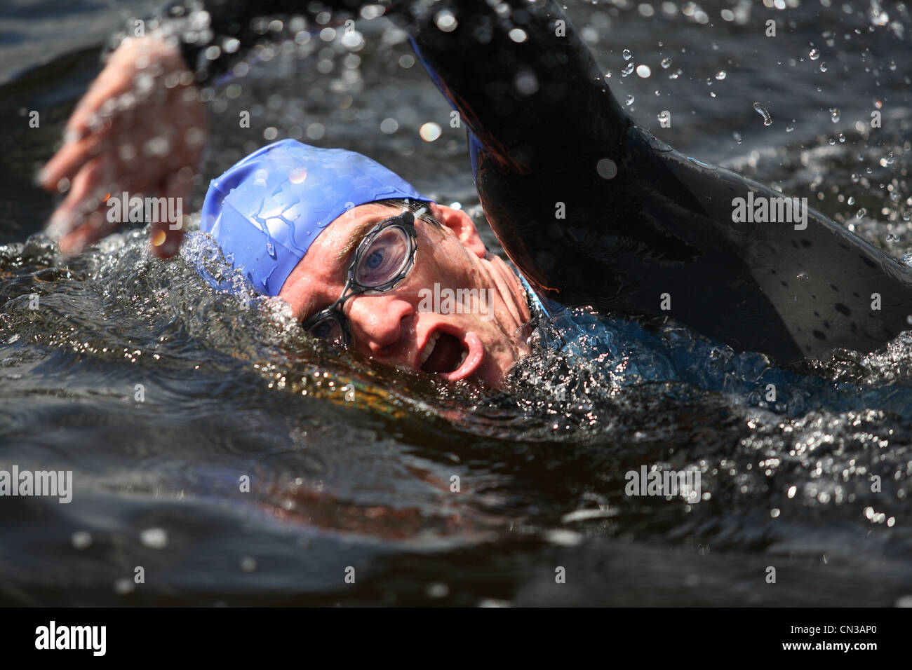 Triathlete swimming in water Stock Photo - Alamy