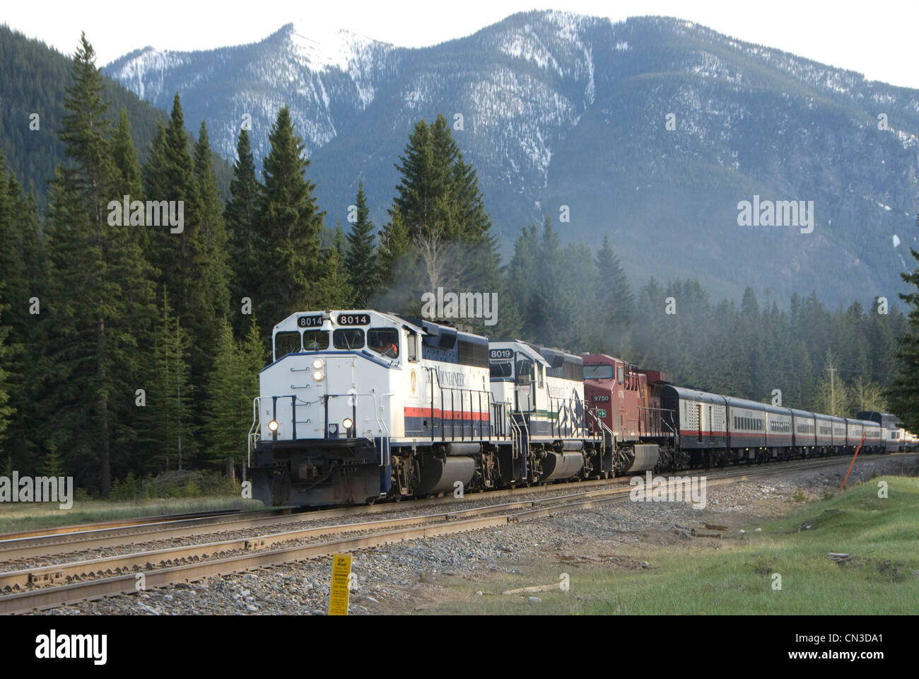 Rocky Mountaineer tourist train at Banff, Alberta, Canada Stock Photo - Alamy