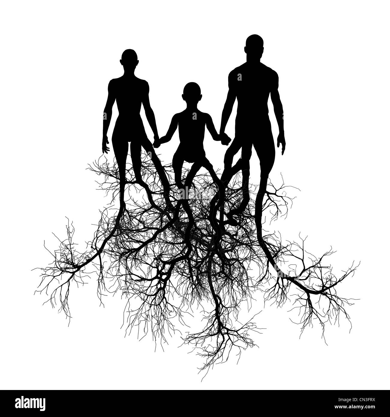 Family tree genealogy illustration Black and White Stock Photos ...