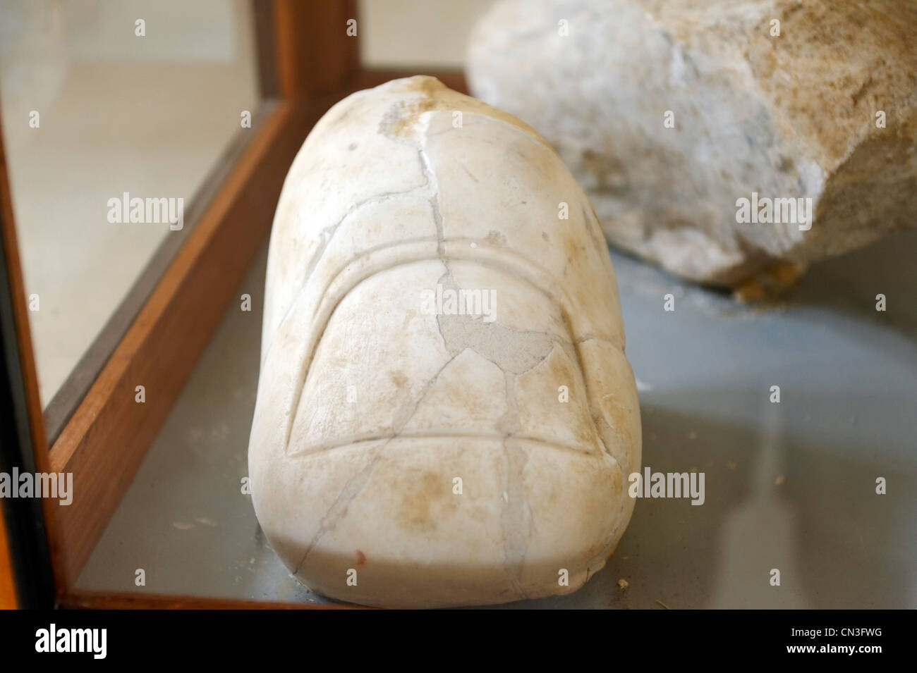 the fingers and toes from the statue of Zeus that once adorned the ...