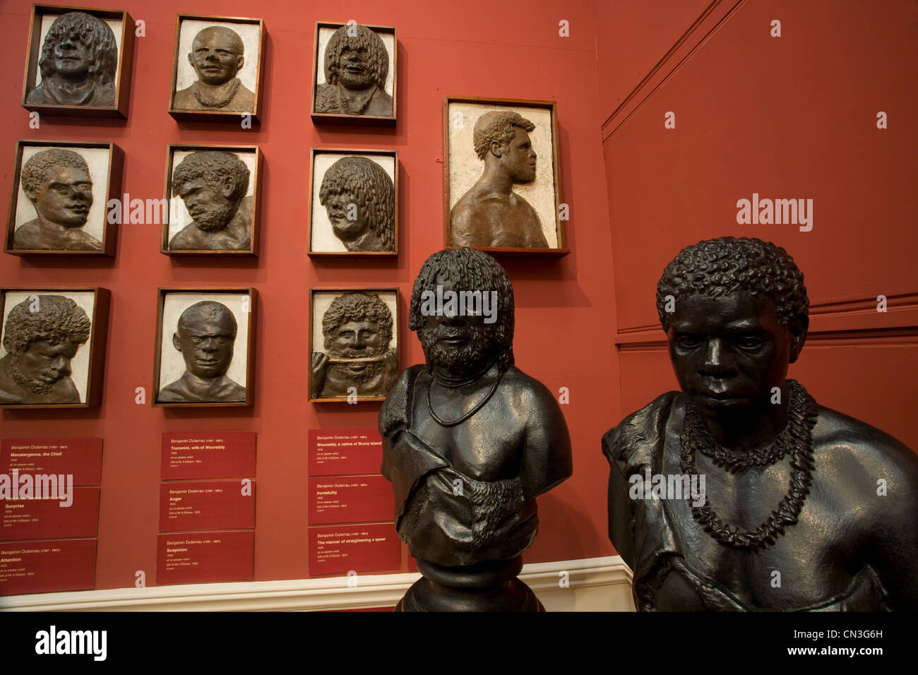 Australia, Tasmania, Hobart, Tasmanian Museum, statues depicting ...