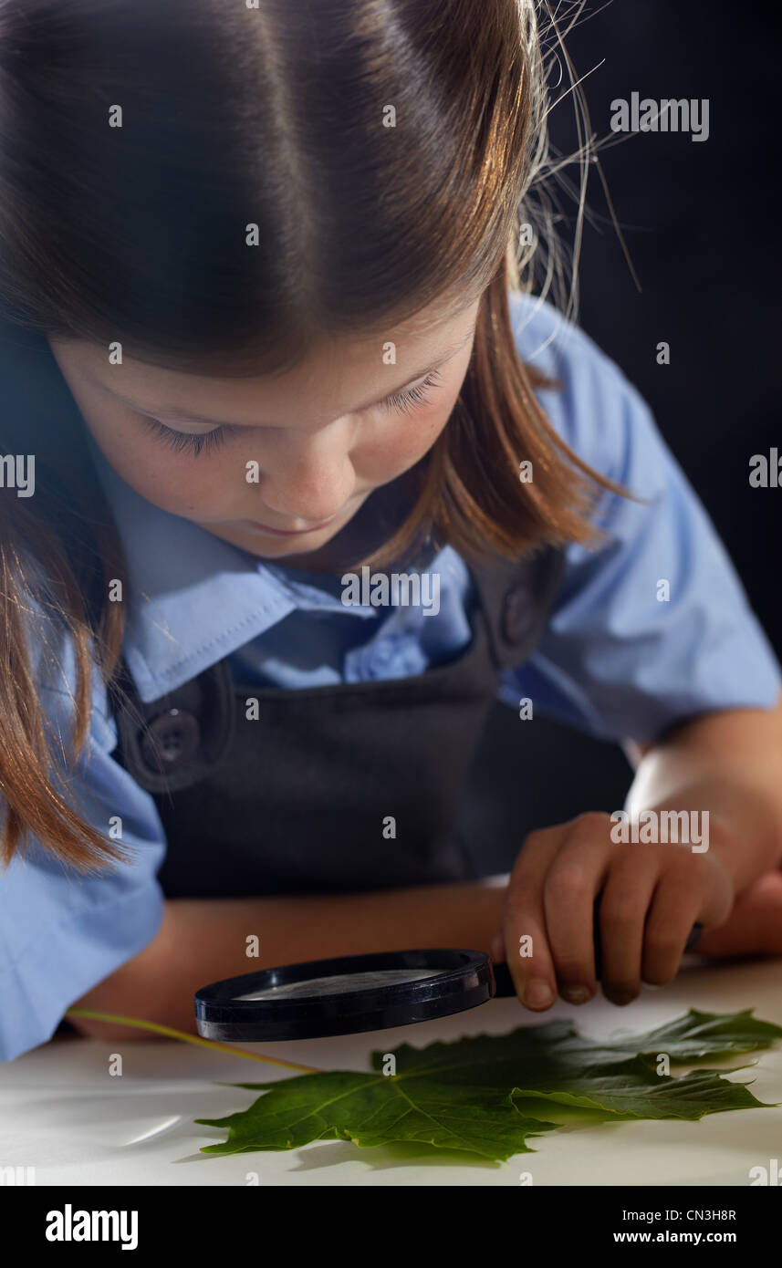 School girl studying a leaf with a magnifying glass in a classroom ...