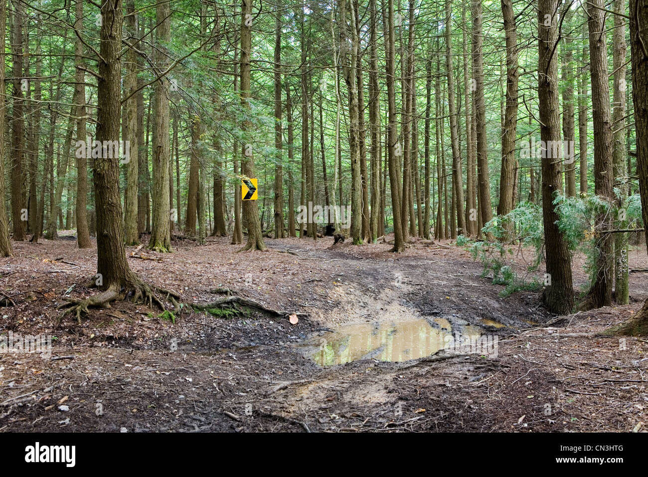Exterior arrow sign hi-res stock photography and images - Alamy