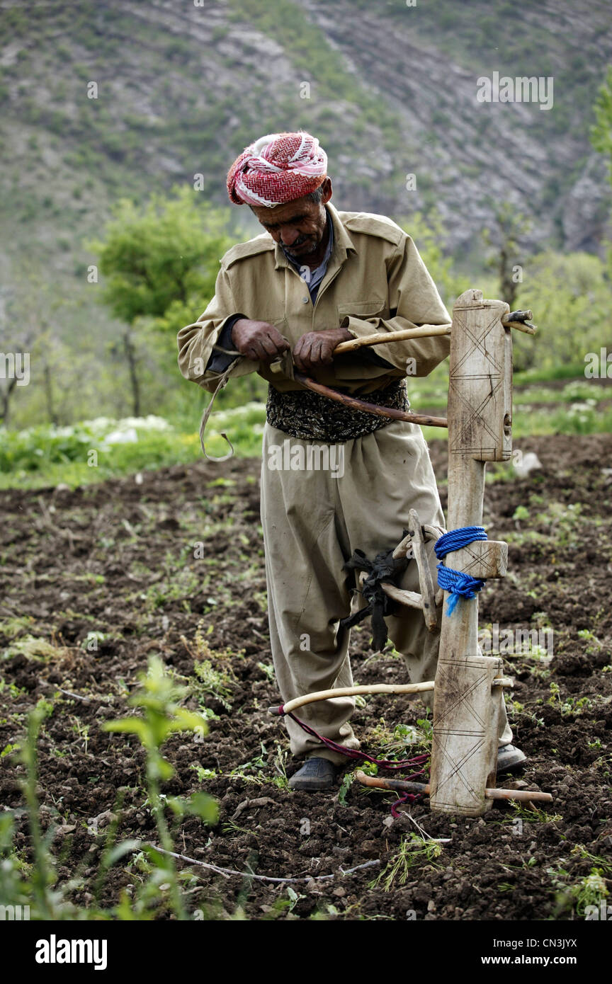 Iraqi farmer hi-res stock photography and images - Alamy
