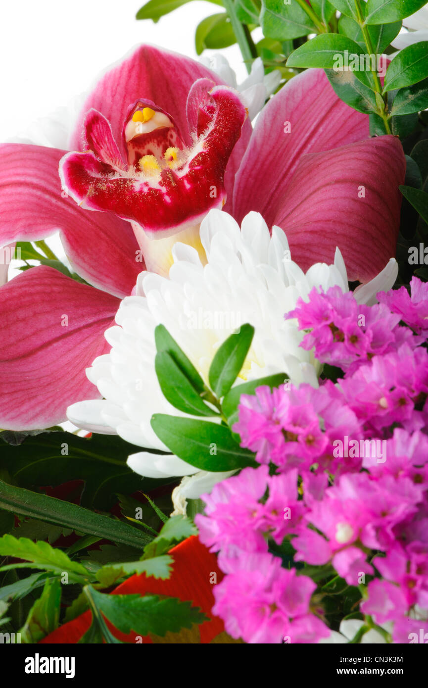 Highly detailed flower photo hi-res stock photography and images - Alamy