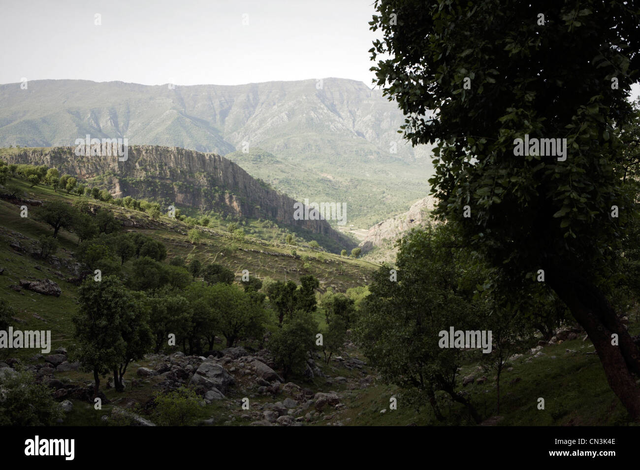 View from Shanidar Cave in Iraqi Kurdistan Stock Photo - Alamy
