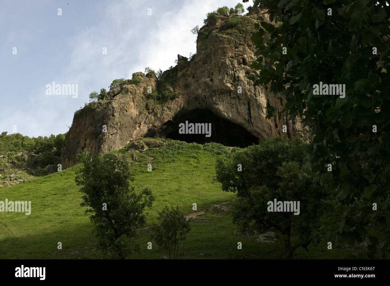 Neanderthal hi-res stock photography and images - Alamy