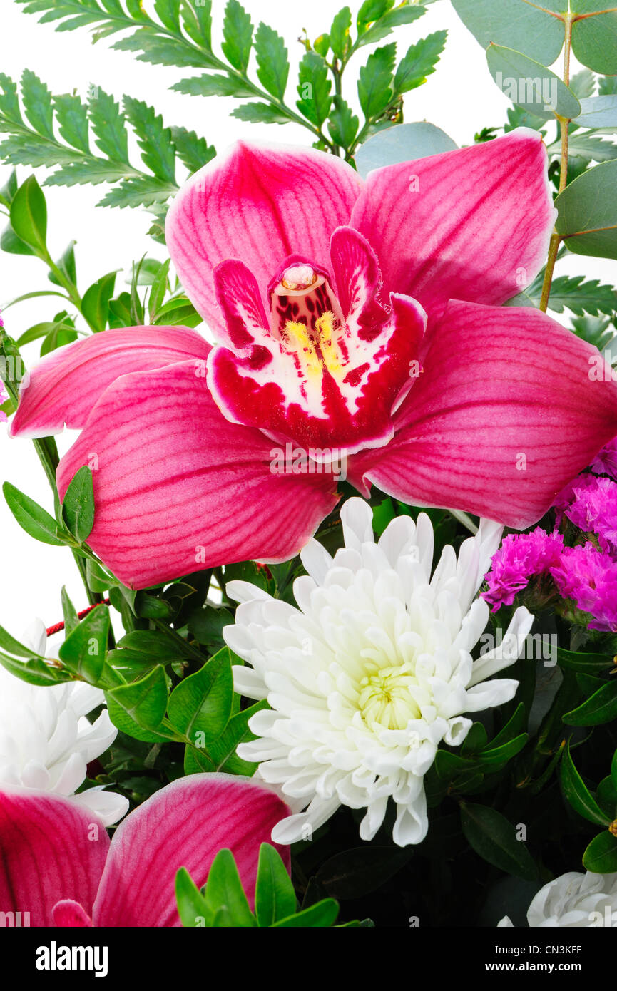 Highly detailed flower photo hi-res stock photography and images - Alamy