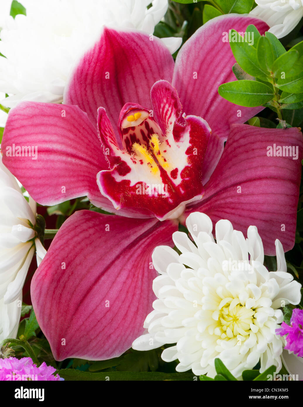 Highly detailed flower photo hi-res stock photography and images - Alamy