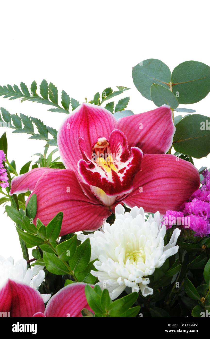 Highly detailed flower photo hi-res stock photography and images - Alamy