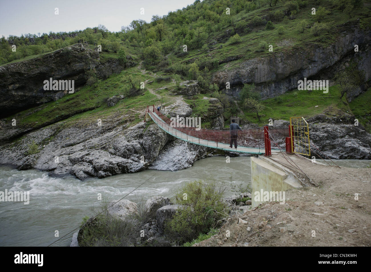 Zeb hi-res stock photography and images - Alamy