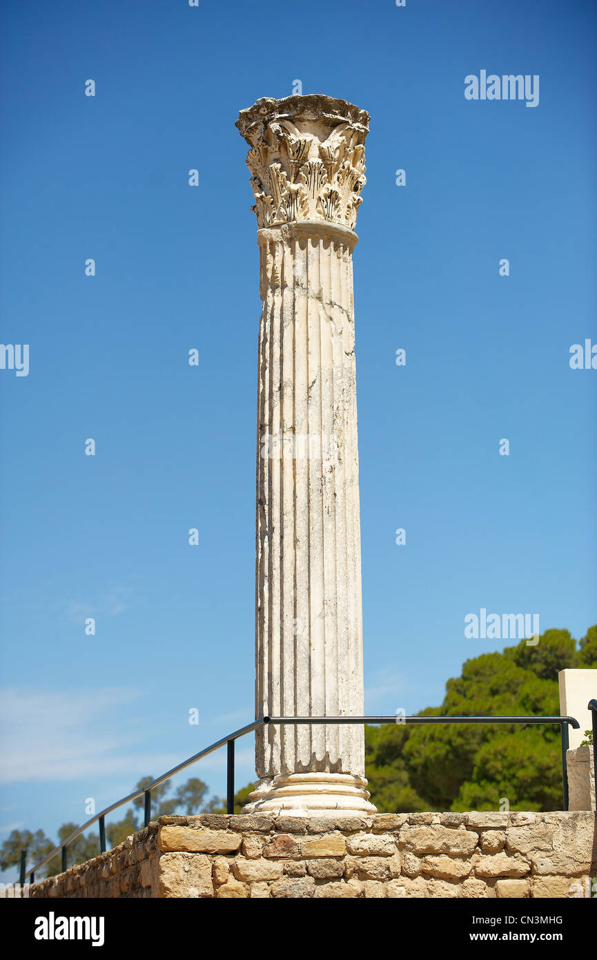 Tunisia, Carthage, the national museum on the Byrsa hill, the roman ...