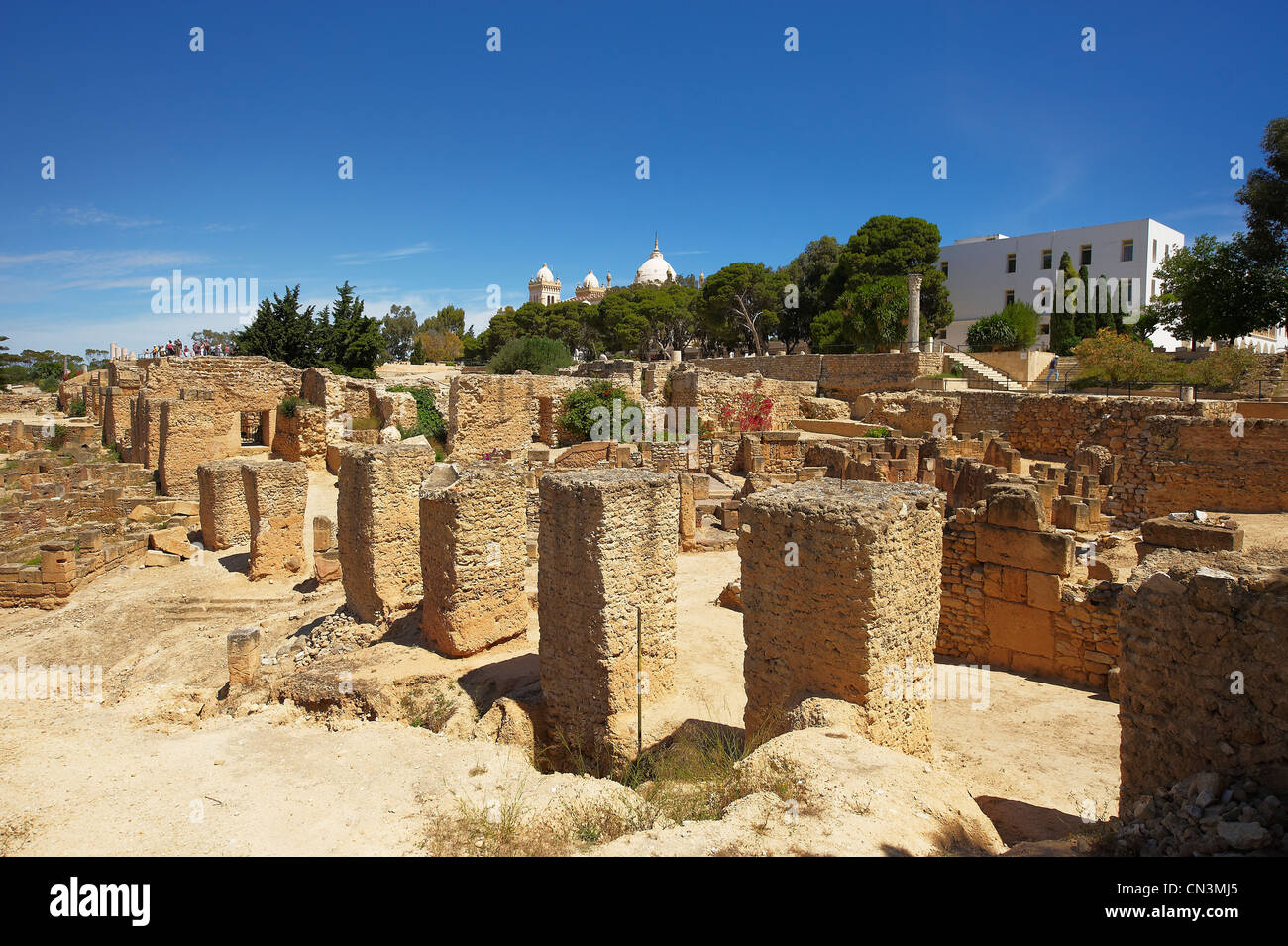 Tunisia, Carthage, the national museum on the Byrsa hill, the Punic ...