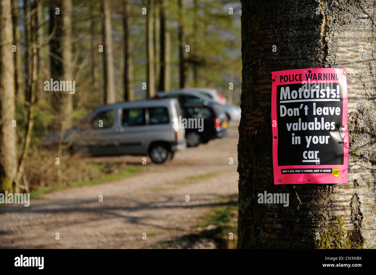 Police warning sign on a tree Stock Photo - Alamy
