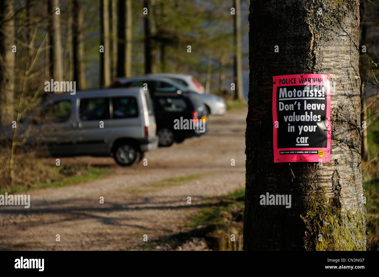 Police warning sign on a tree Stock Photo - Alamy