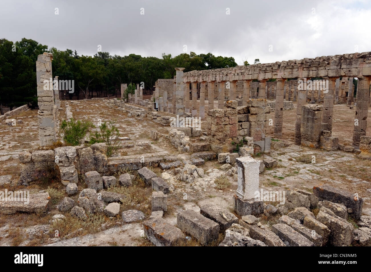 Cyrene. Libya. View of the remains of the Roman civil Basilica or Law ...