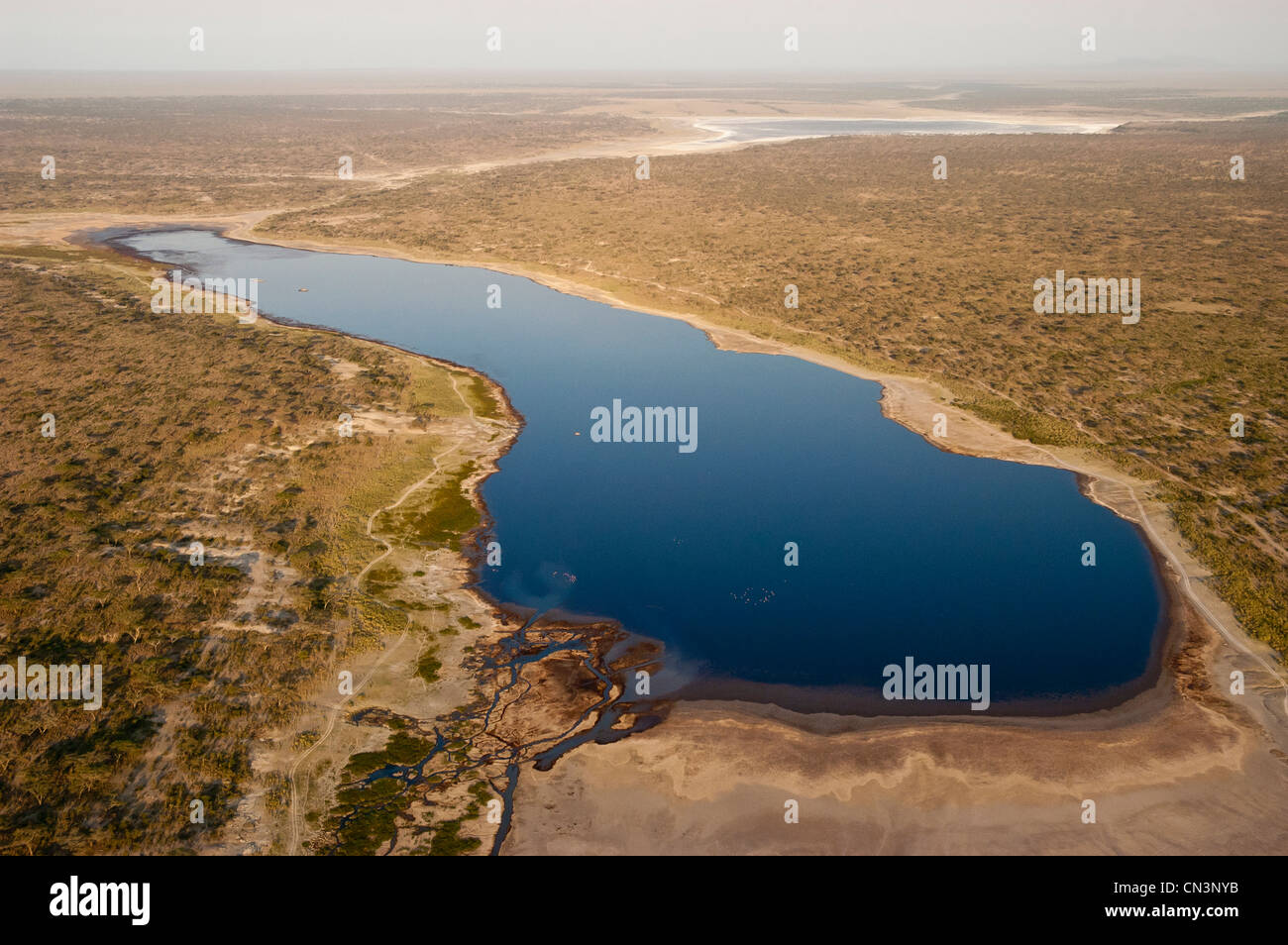 Lake Masek at Ndutu, aerial view, Ngorongoro Conservation Area ...