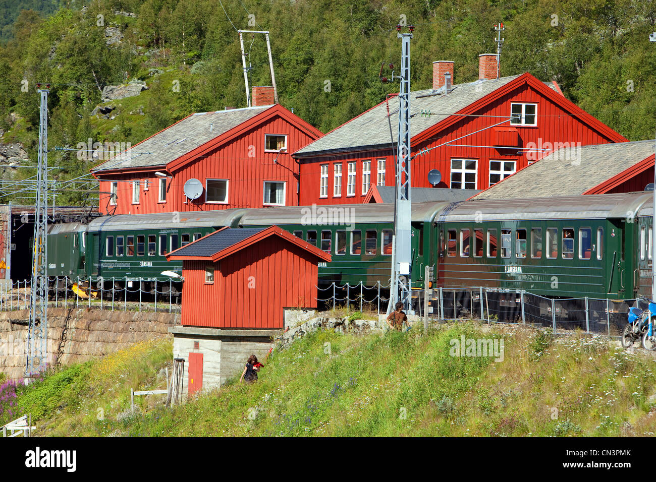 Myrdal station hi-res stock photography and images - Alamy