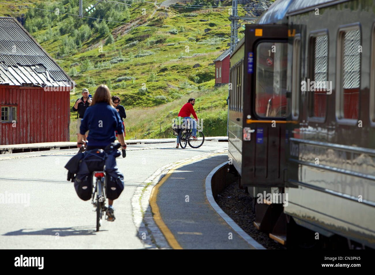 Norway, Sogn og Fjordane County, Myrdal, the train between Flam and ...