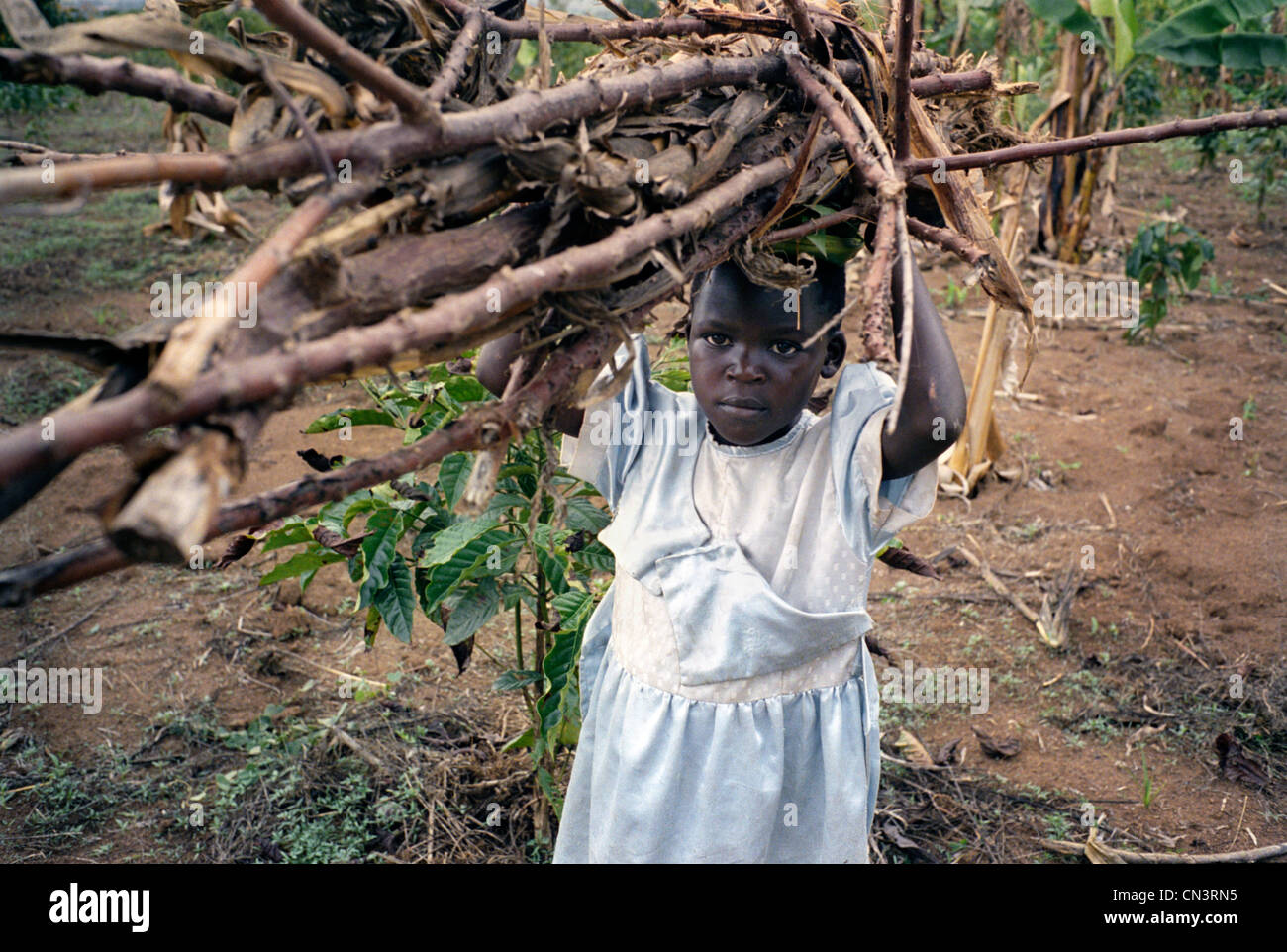Young african girl carrying sticks Stock Photo - Alamy