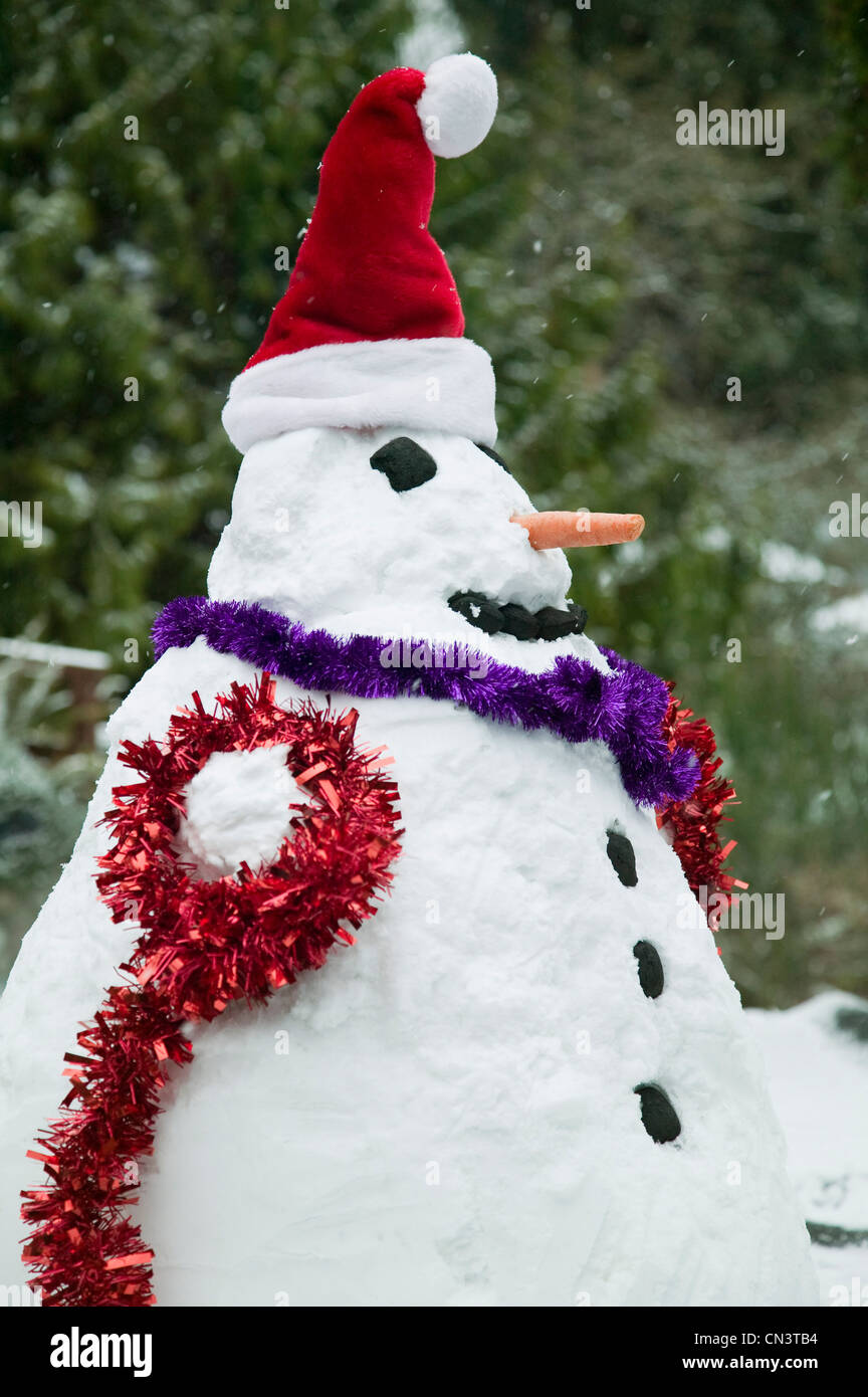 Artist's Choice: Snowman, Vancouver, British Columbia Stock Photo - Alamy