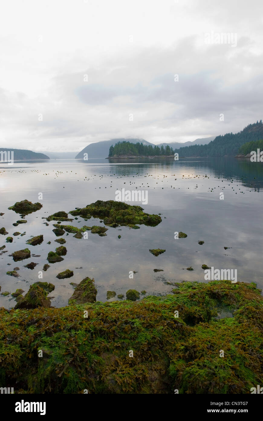 View of Jervis Inlet from village of Egmont, Sunshine Coast, British ...