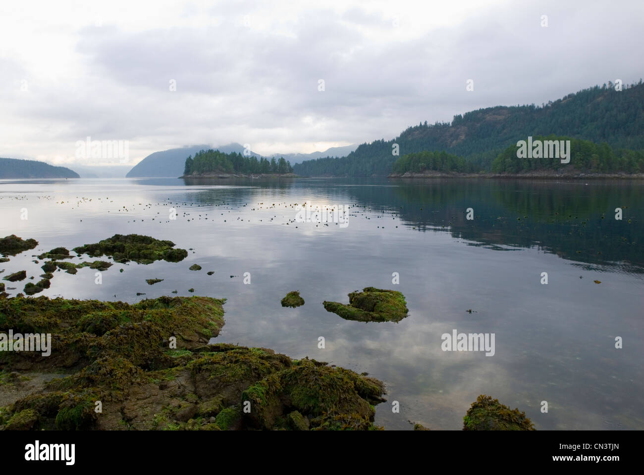 Jervis Inlet High Resolution Stock Photography and Images - Alamy