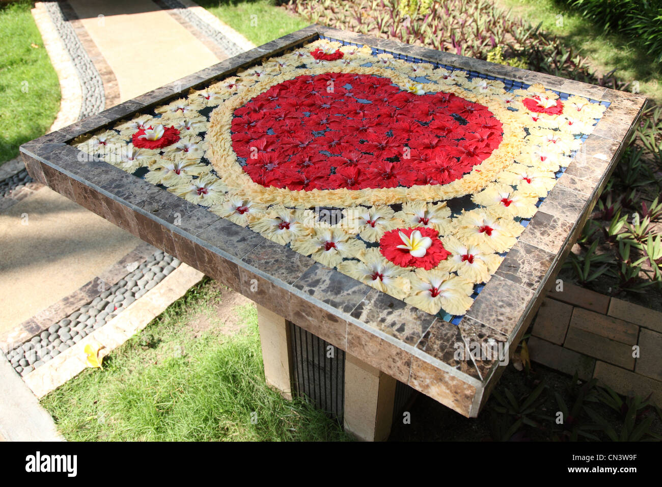 Heart made of Hibiscus flower petals floating in water Stock Photo - Alamy