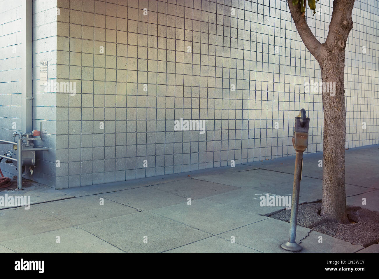 Pavement with tree and exterior wall Stock Photo - Alamy