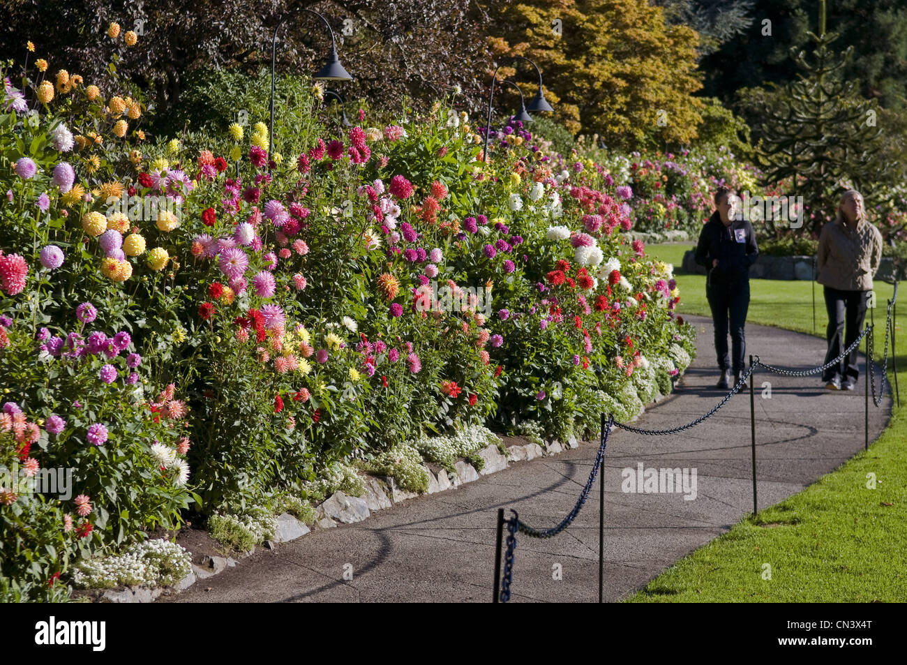 Vegetation in vancouver island hi-res stock photography and images - Alamy