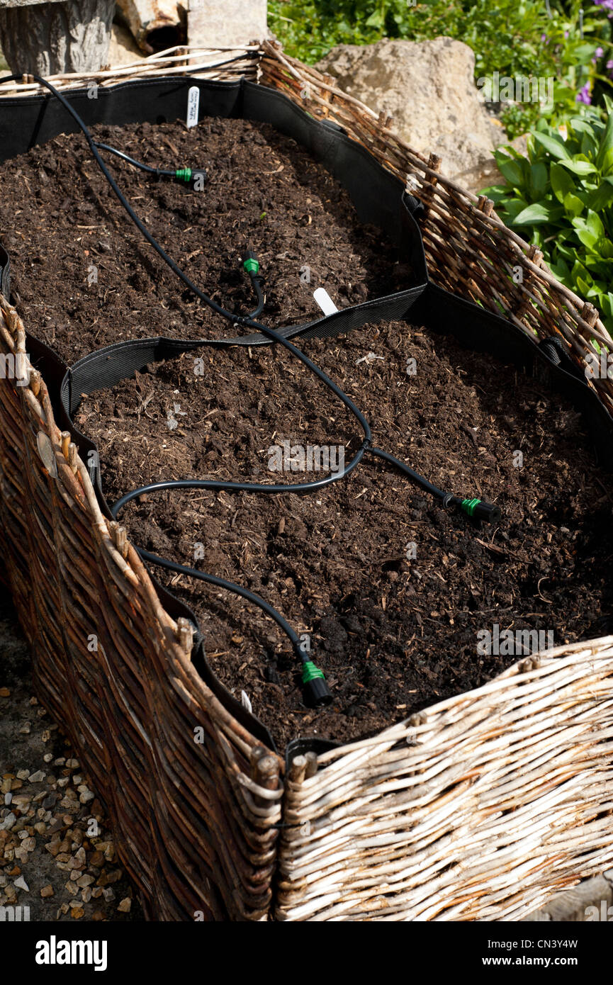 Domestic irrigation system in a vegetable planter Stock Photo - Alamy