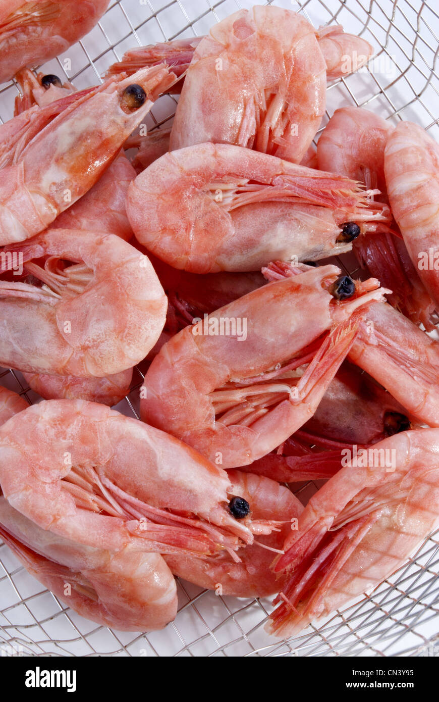 fresh shrimp after cooking in a sieve Stock Photo - Alamy