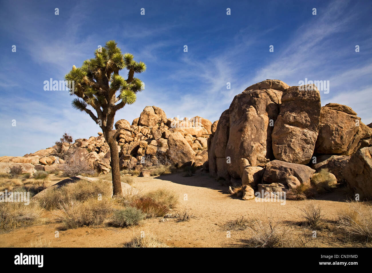 Desert Landscape in Joshua Tree National Park, California Stock Photo ...