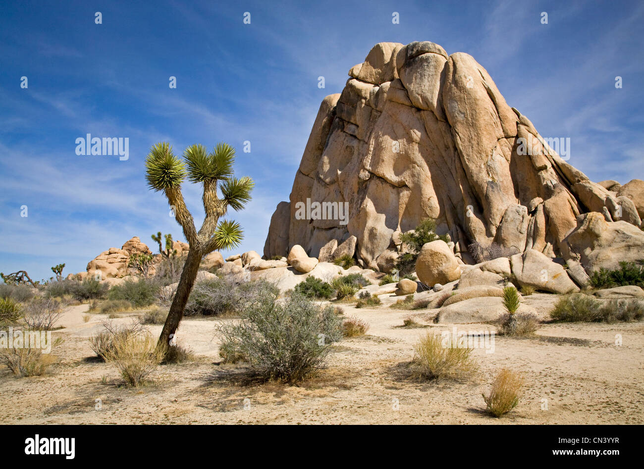 Desert Landscape in Joshua Tree National Park, California Stock Photo ...