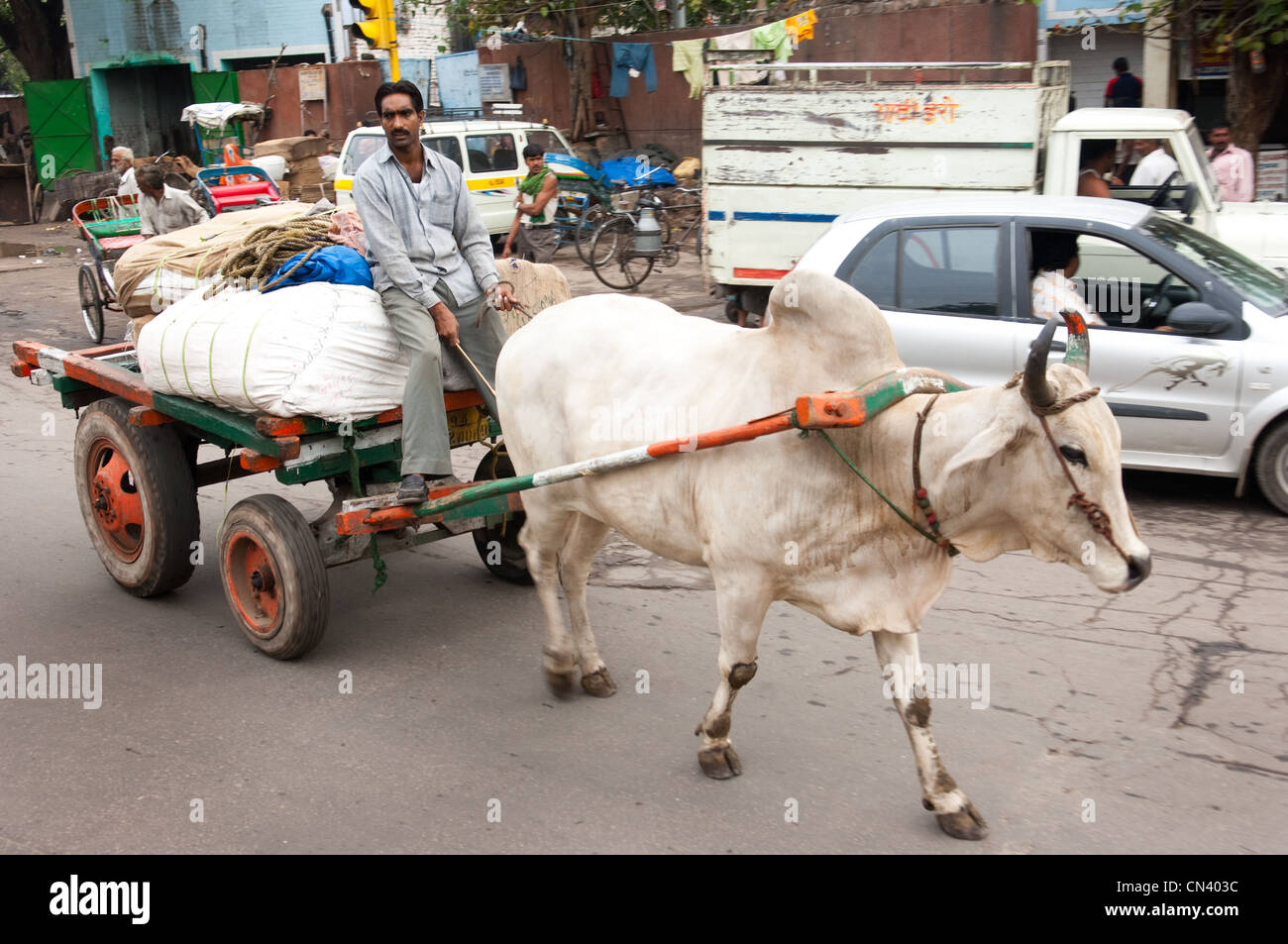 A cow pulls a cart in an Indian street Stock Photo - Alamy