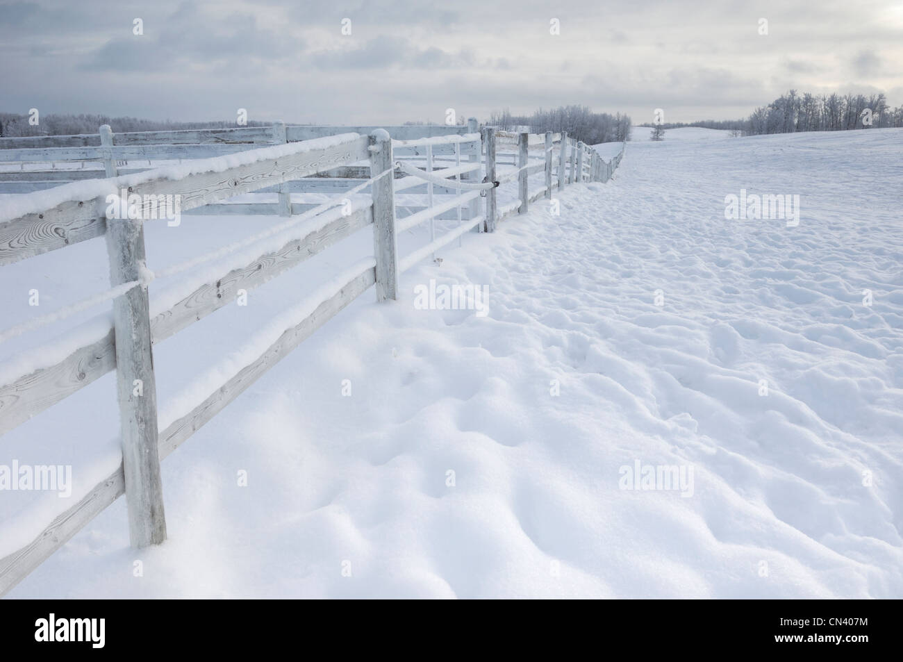 Strathcona photography hi-res stock photography and images - Alamy