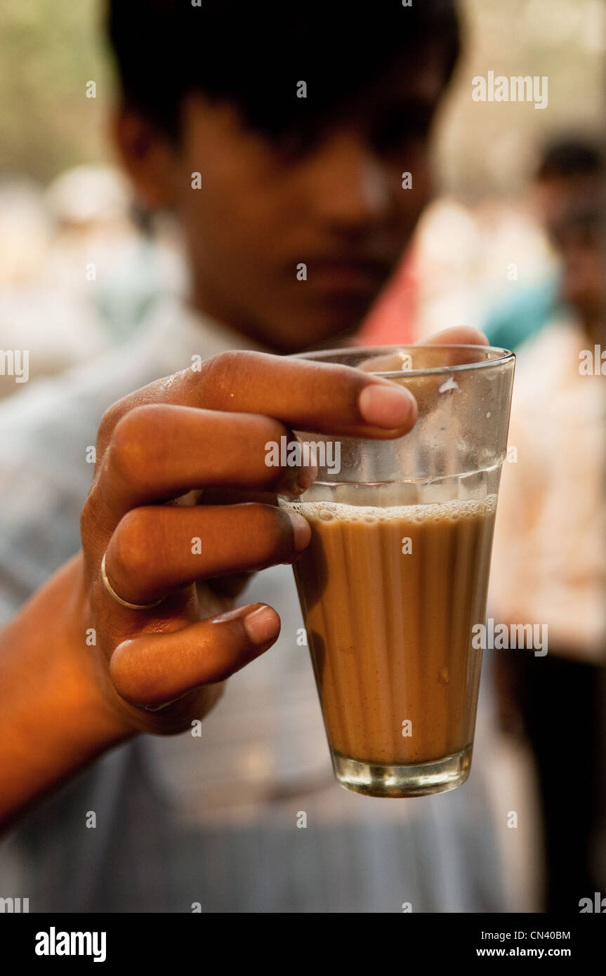 Fennel and cinnamon tea hi-res stock photography and images - Alamy
