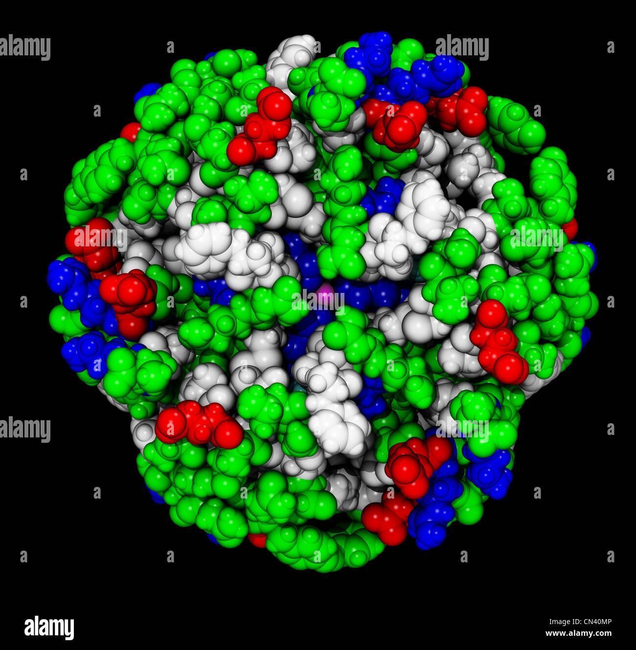 Molecular computer graphics representation of insulin in its hexameric ... Molecular computer graphics representation of insulin in its hexameric ...