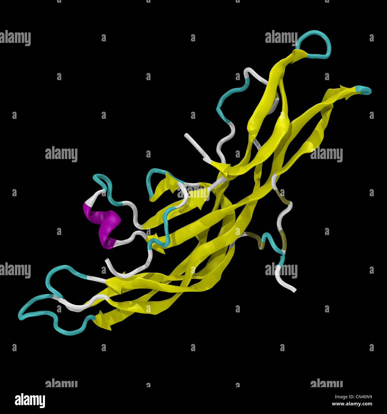 Chorionic gonadotropin molecule hi-res stock photography and images - Alamy