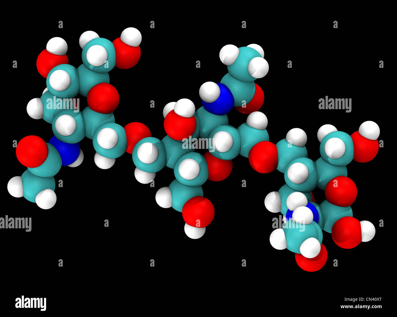 Chitin Molecular Structure