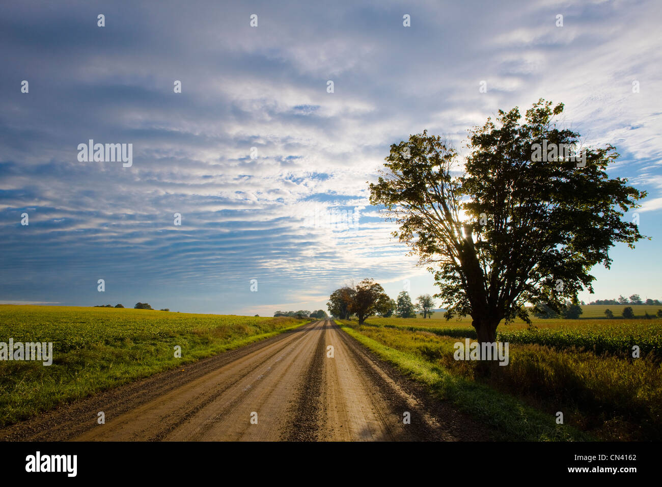 Fields on either side of road hi-res stock photography and images - Alamy