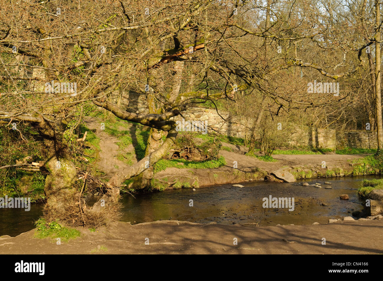 Braid burn hi-res stock photography and images - Alamy